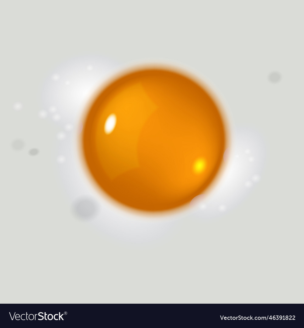 Shiny egg yolk on a white background realistic Vector Image