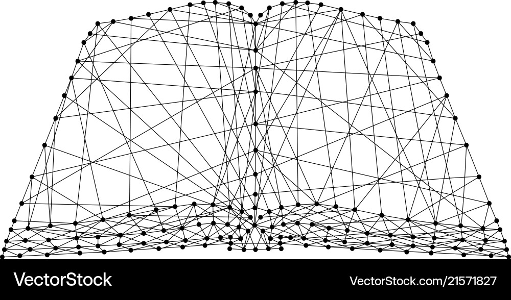 Open book from futuristic polygonal black lines Vector Image