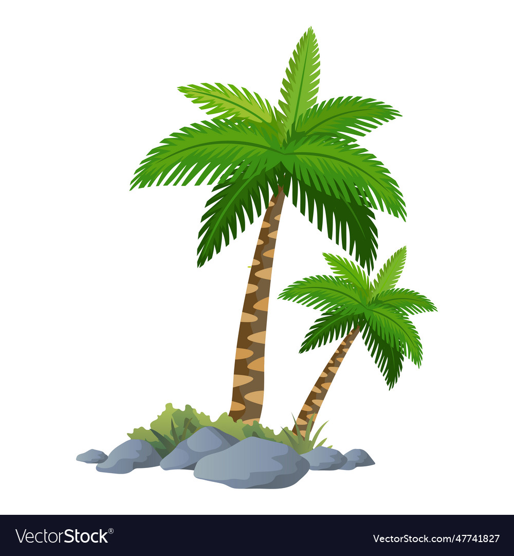 Palm tree with white background Royalty Free Vector Image