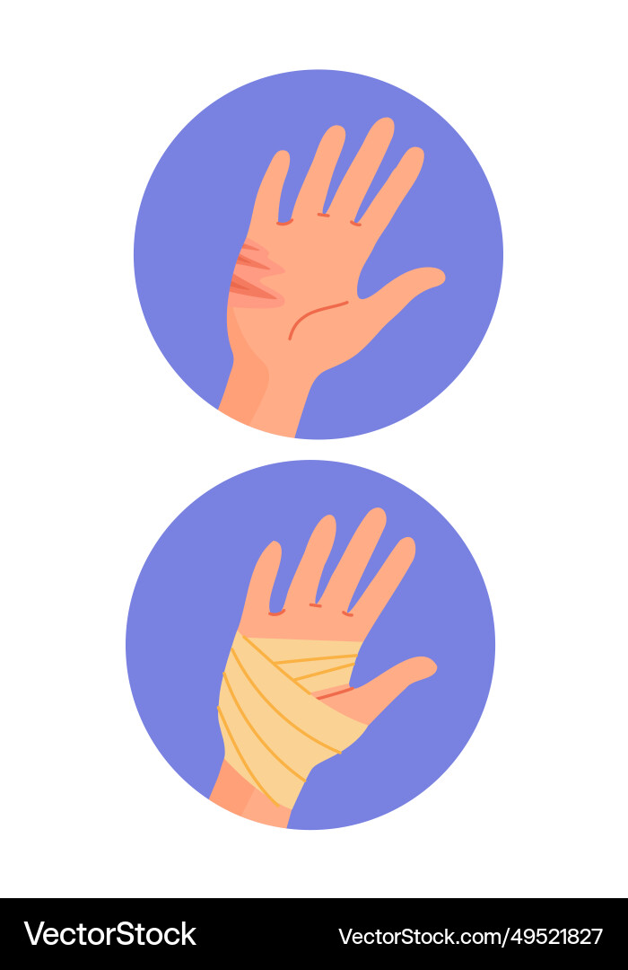 Types of bandages set Royalty Free Vector Image