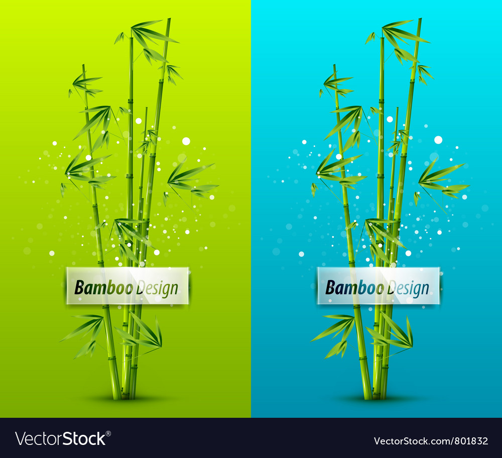 Bamboo background Royalty Free Vector Image - VectorStock
