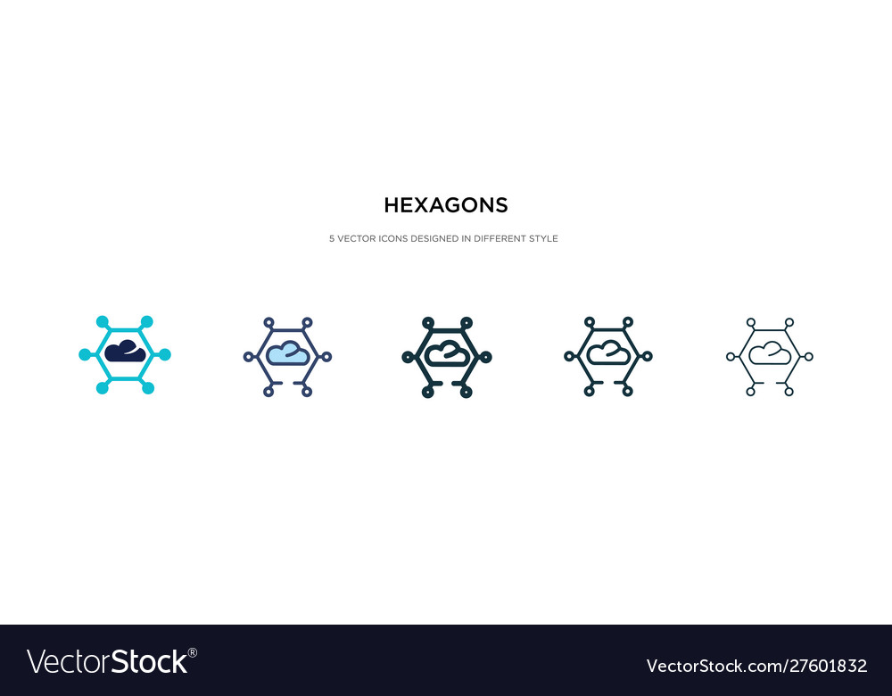 Hexagons icon in different style two colored Vector Image