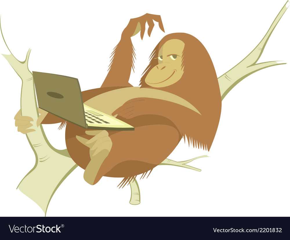 Monkey and computer Royalty Free Vector Image - VectorStock