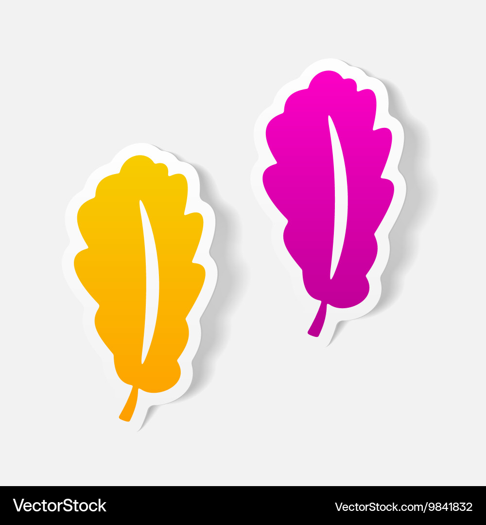 Realistic design element leaf Royalty Free Vector Image