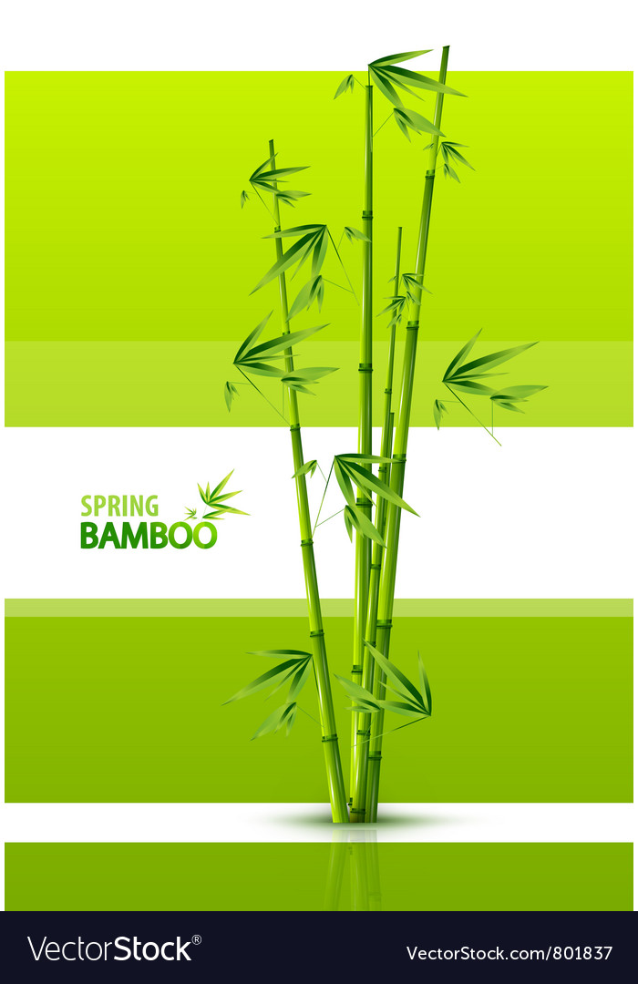 Bamboo background Royalty Free Vector Image - VectorStock
