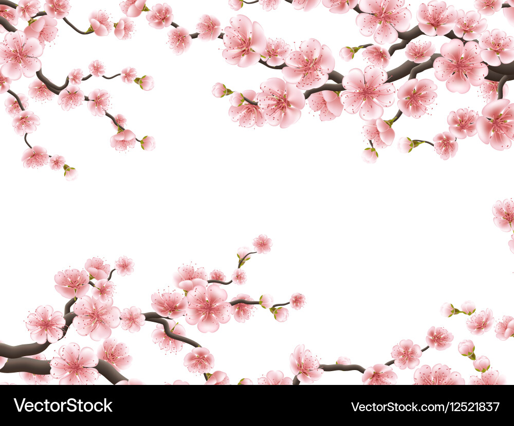Blossom sakura for your design EPS 10 Royalty Free Vector