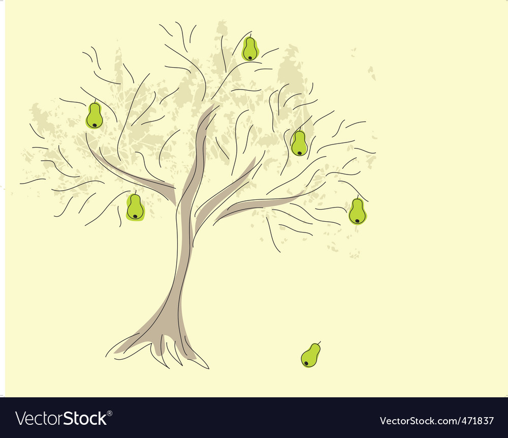 Pear tree Royalty Free Vector Image - VectorStock