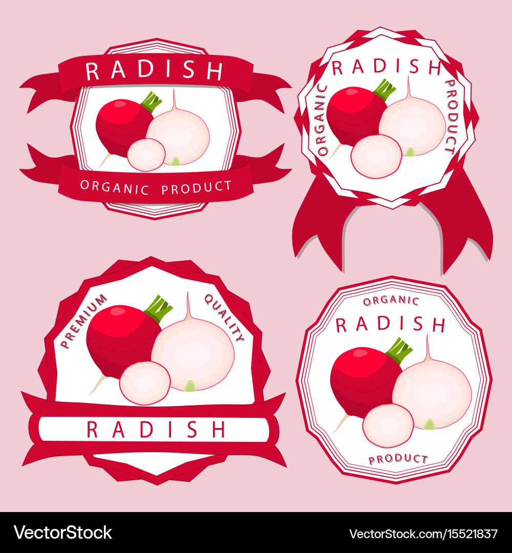 Theme radish Royalty Free Vector Image - VectorStock