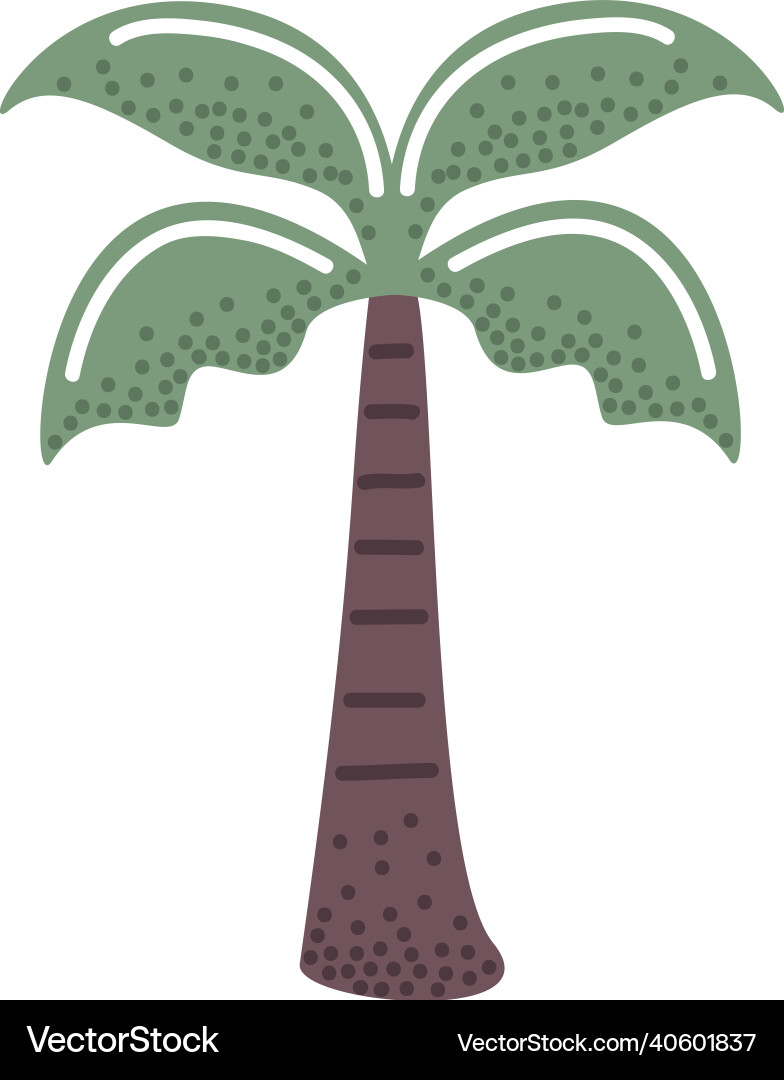 Tropical palm plant Royalty Free Vector Image - VectorStock