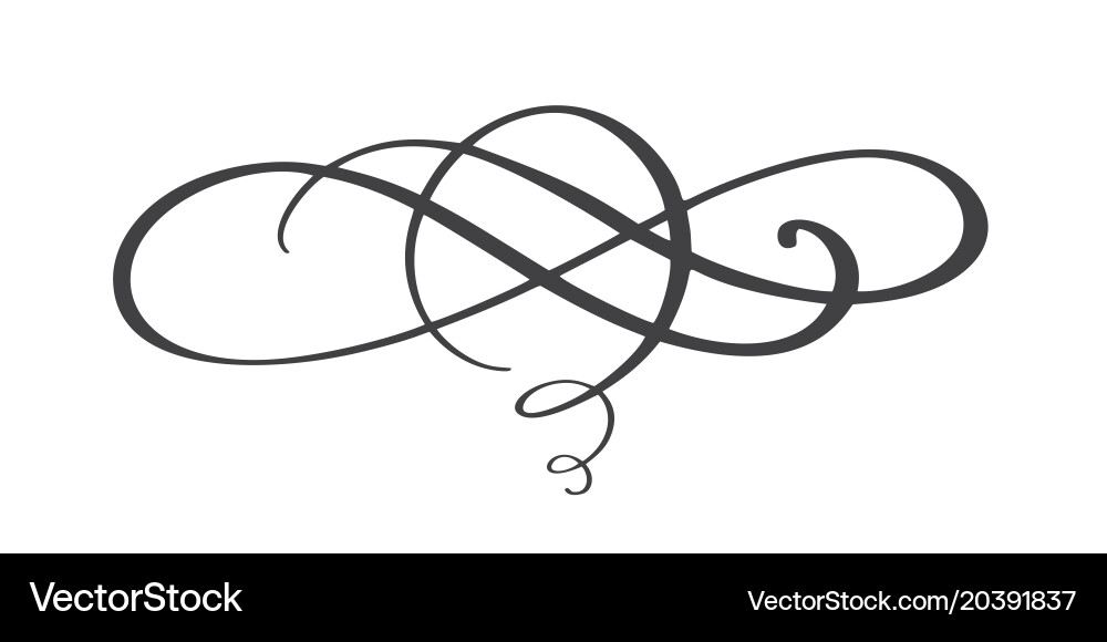 Vintage hand drawn flourish separator calligraphy Vector Image
