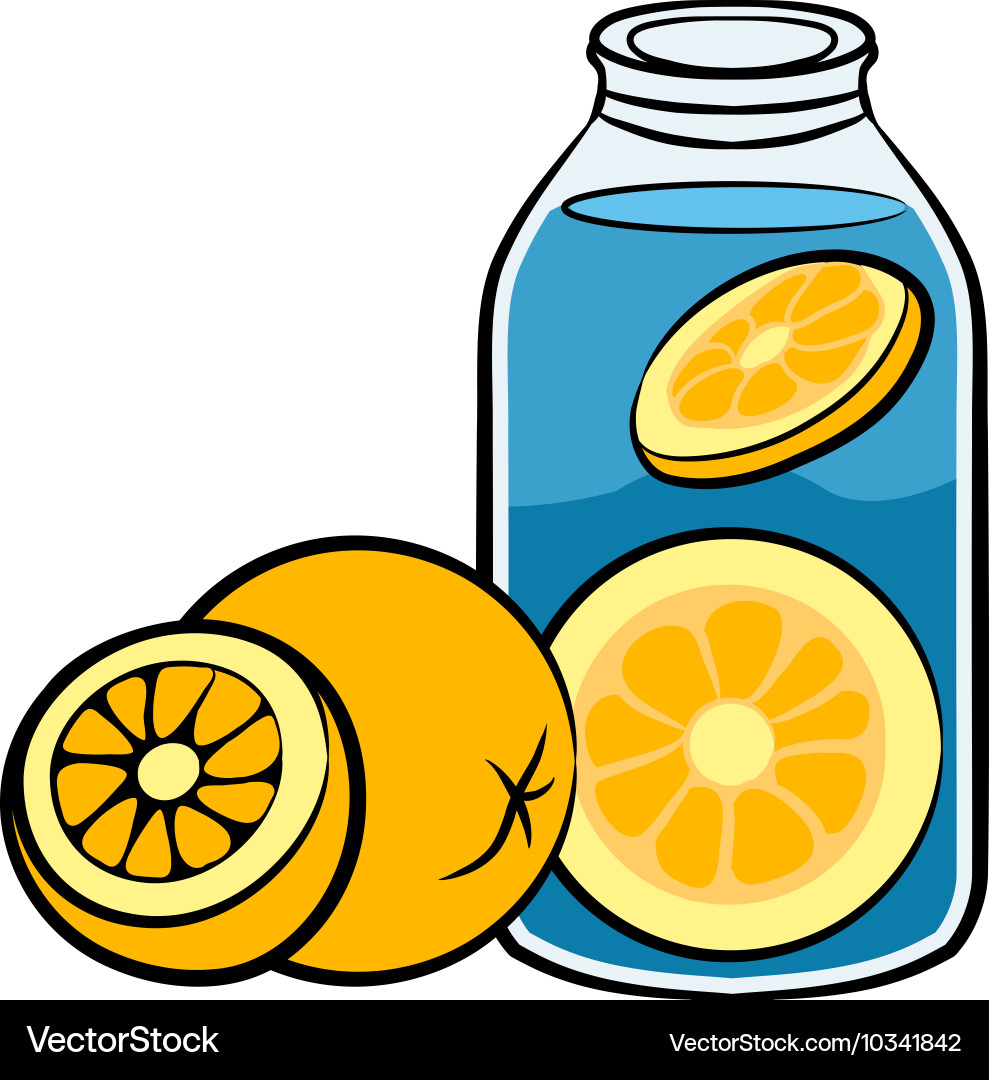 Orange infuse water solid line art Royalty Free Vector Image