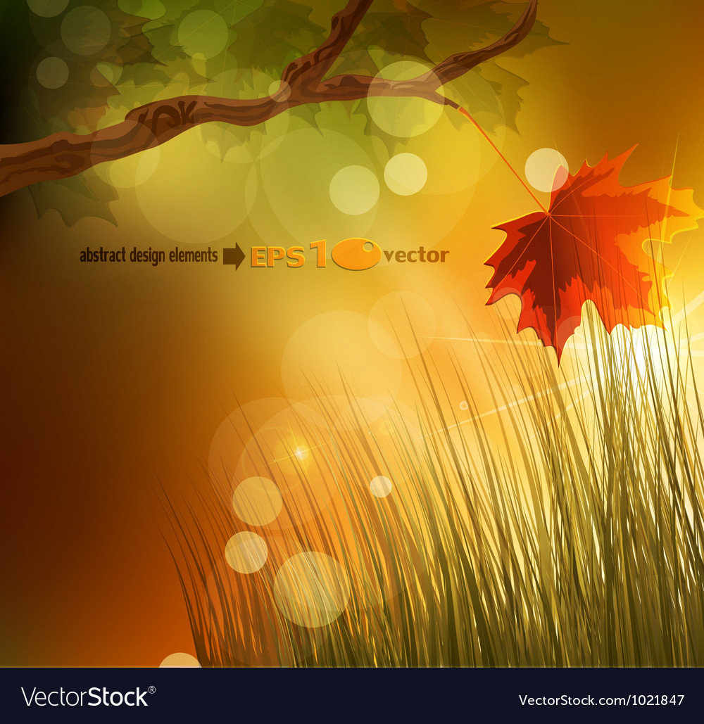 Background with maple leaf Royalty Free Vector Image