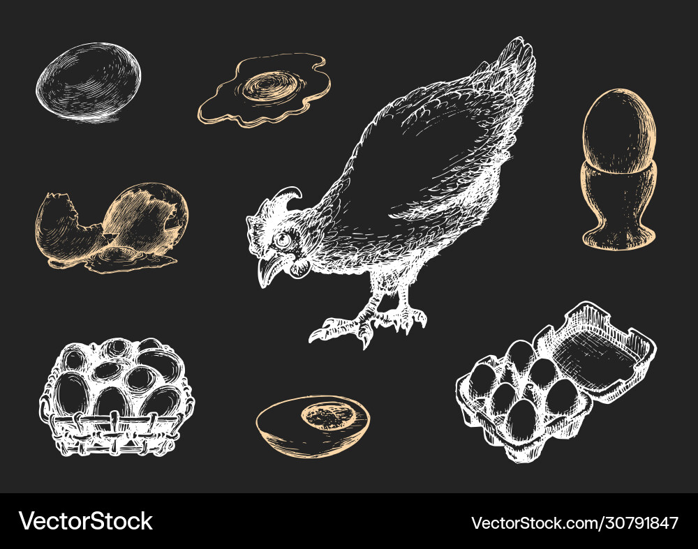 Graphic poultry farm goods in Royalty Free Vector Image
