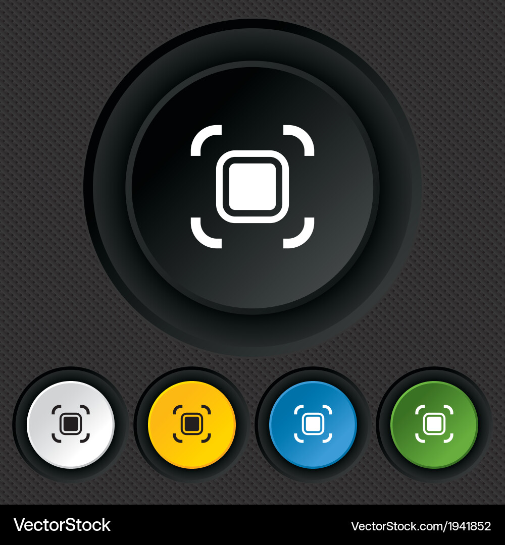 Autofocus zone sign icon photo camera settings Vector Image