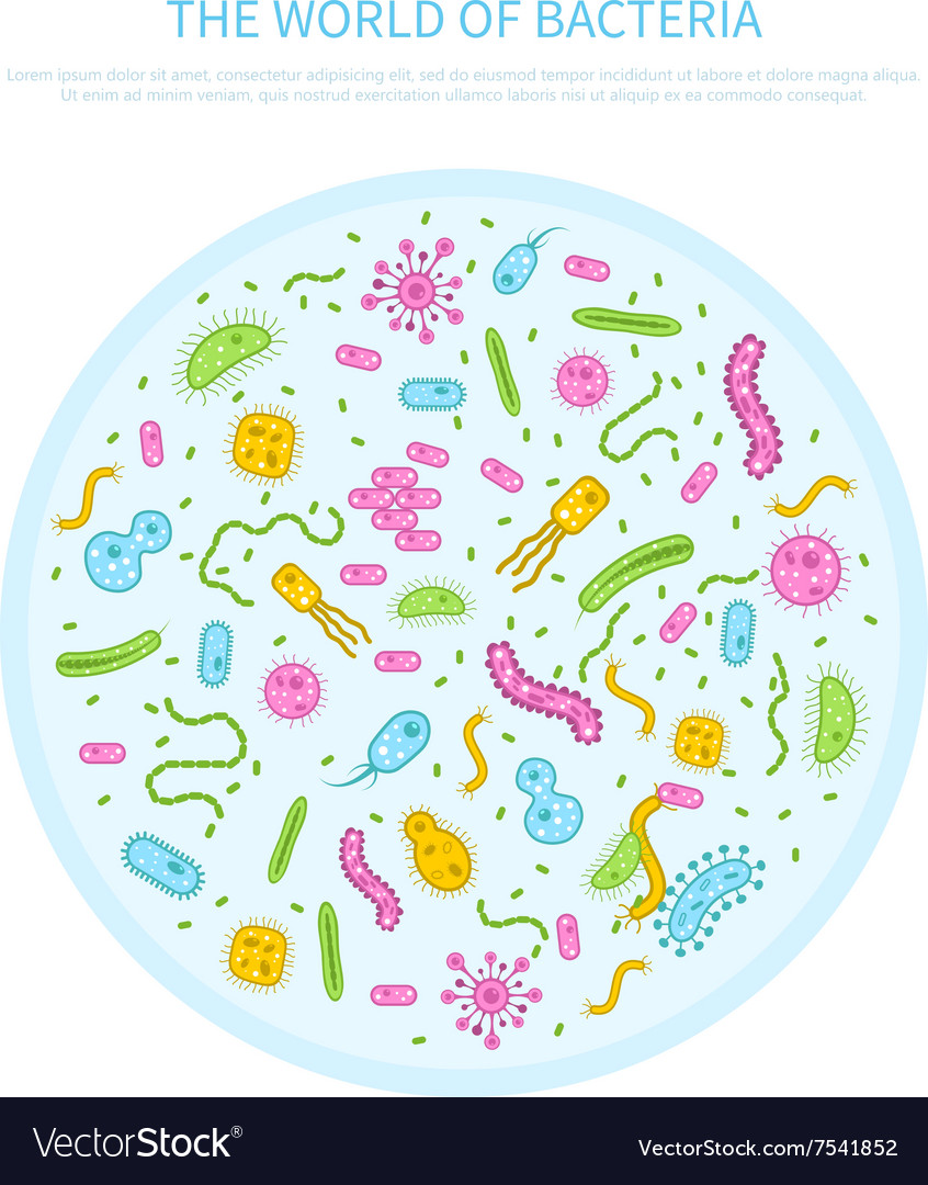 Bacteria concept Royalty Free Vector Image - VectorStock