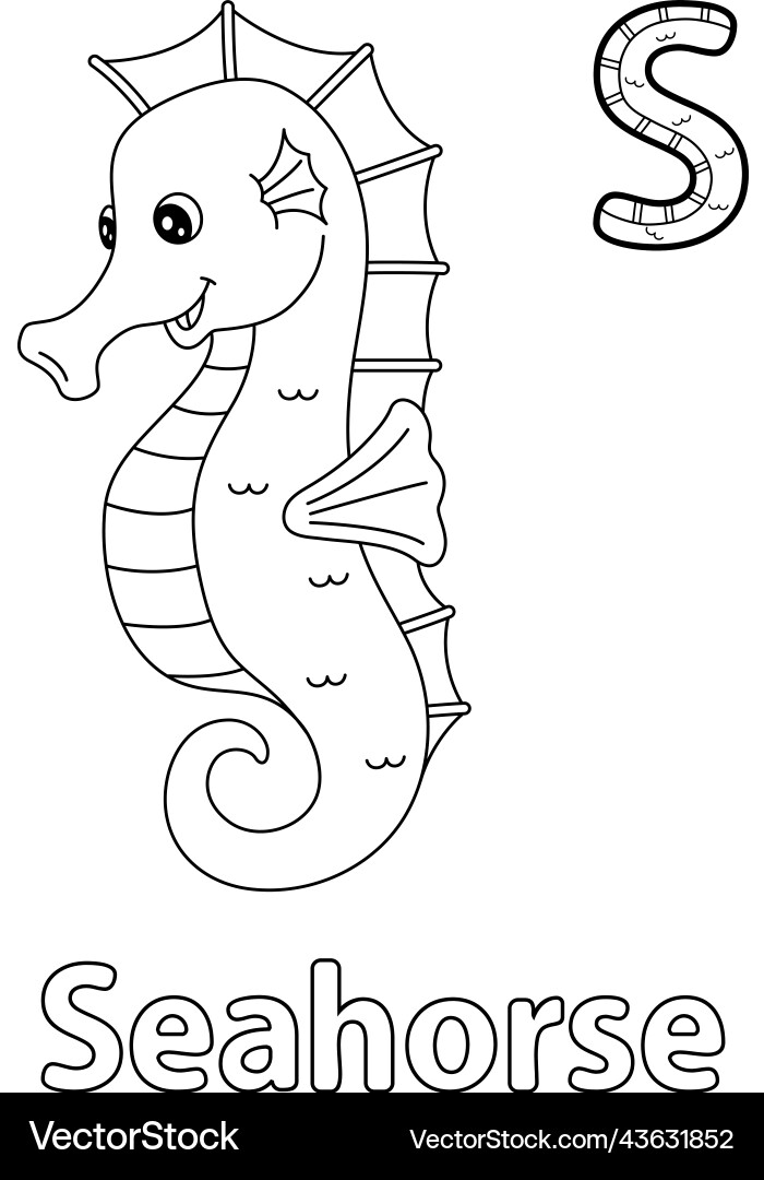 Seahorse alphabet abc coloring page s Royalty Free Vector