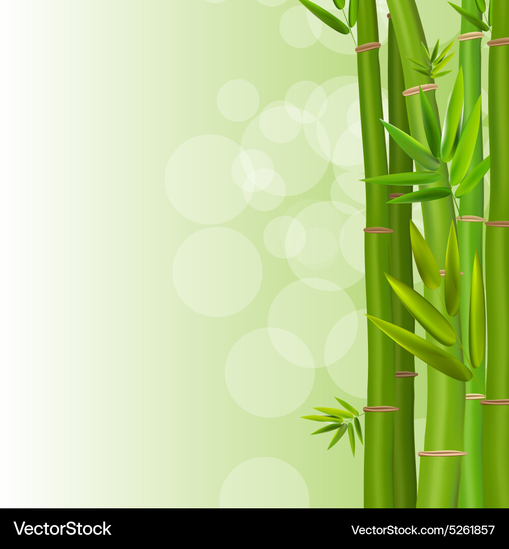 Colorful stems and bamboo leaves background Vector Image