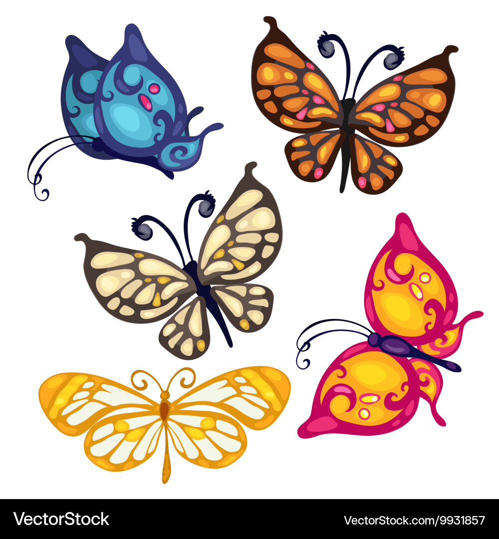 Five colorful beautiful butterfly insect Vector Image