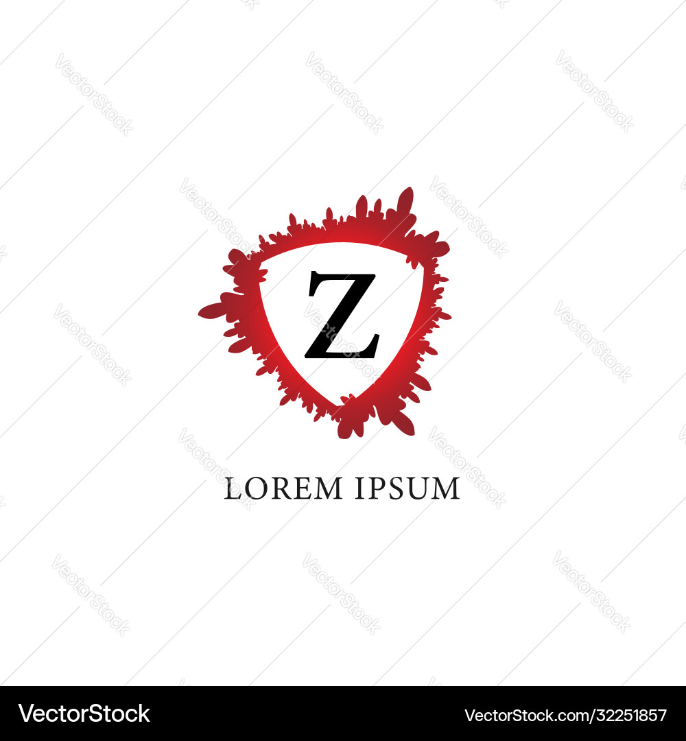 Letter z alphabet logo design template splash Vector Image