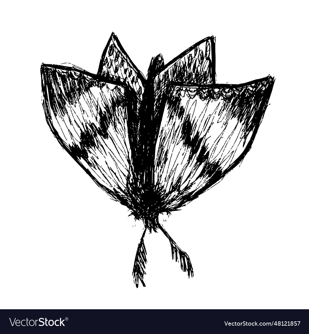 Moth Royalty Free Vector Image - VectorStock