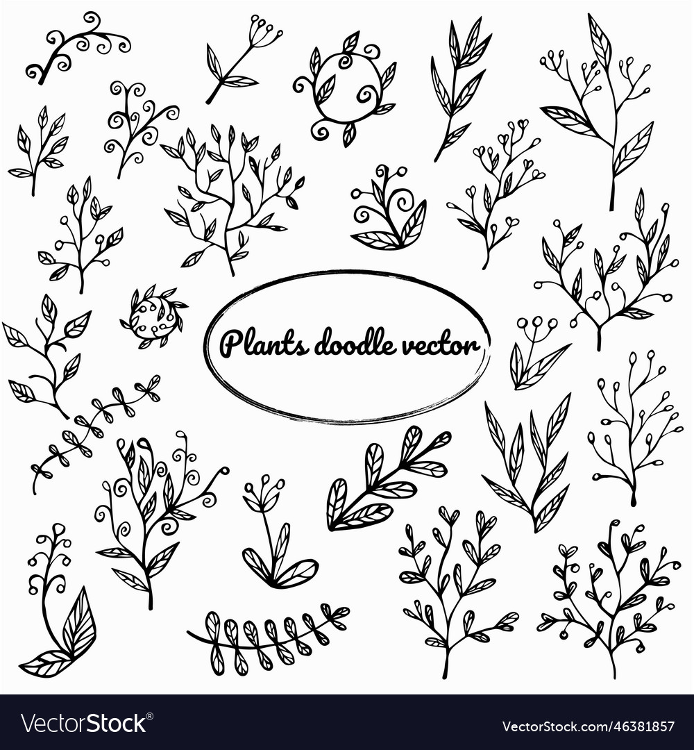 Plants doodles Royalty Free Vector Image - VectorStock