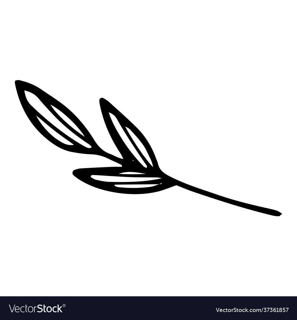 Tree leaf branch icon hand drawn and outline Vector Image