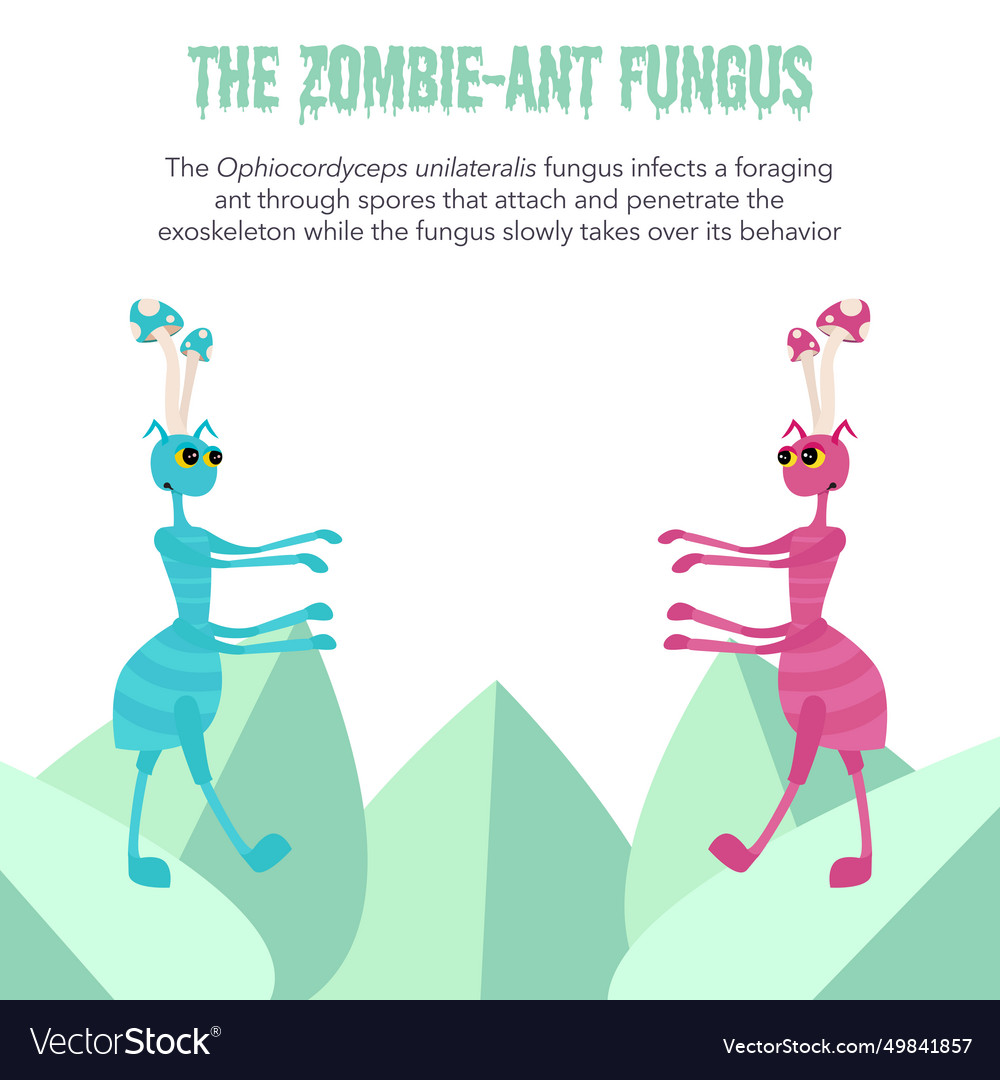 Zombie ant fungus Royalty Free Vector Image - VectorStock
