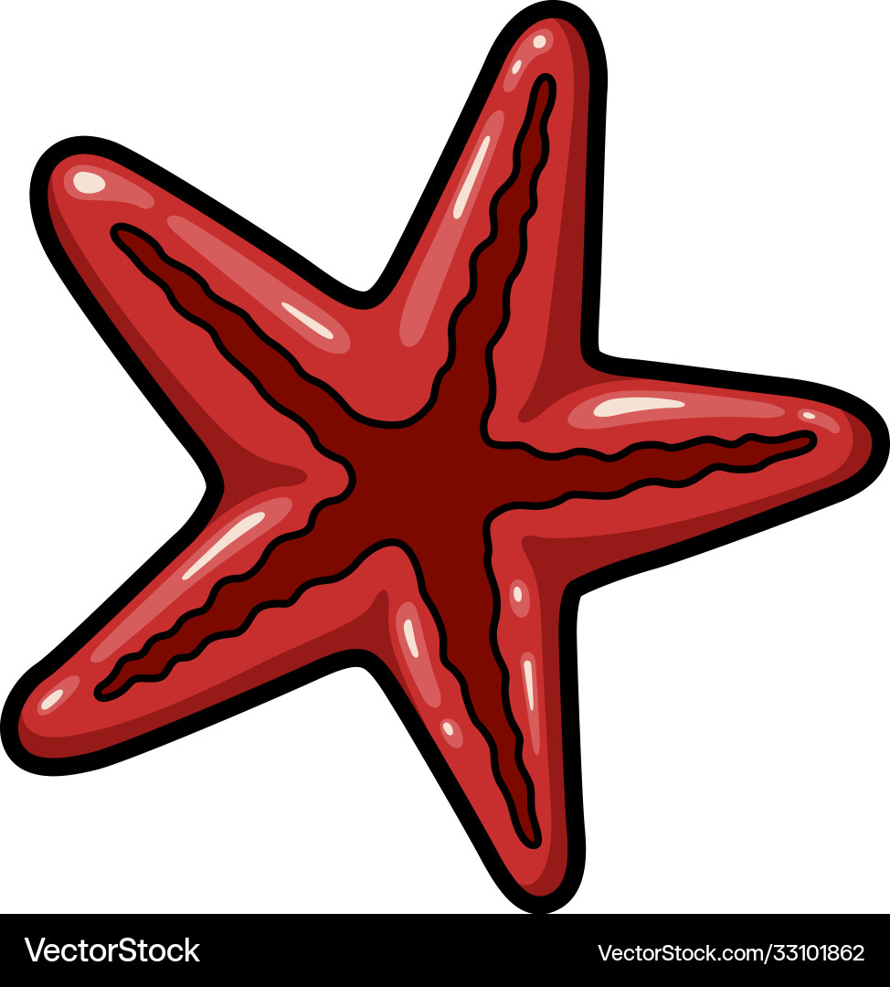 Starfish marine echinoderm red star-shaped water Vector Image