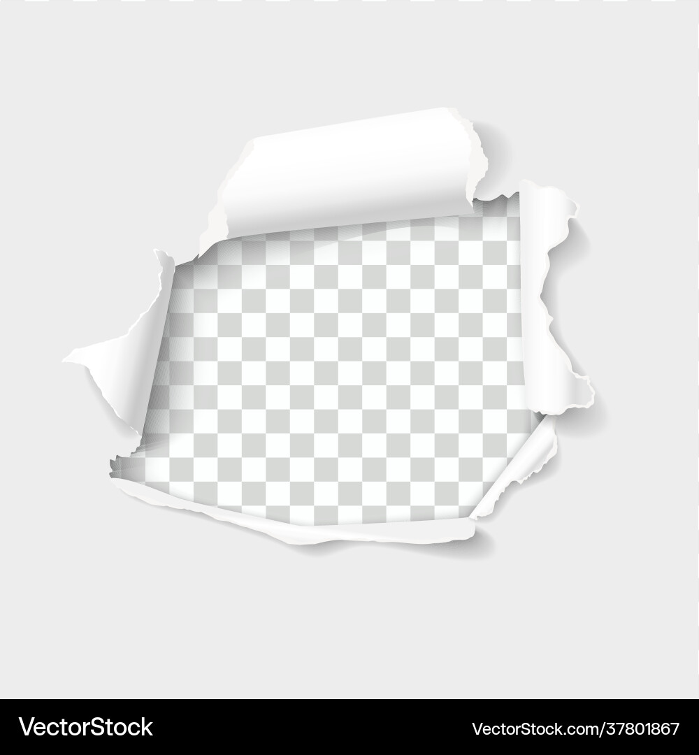 Hole in sheet paper isolated on transparent Vector Image