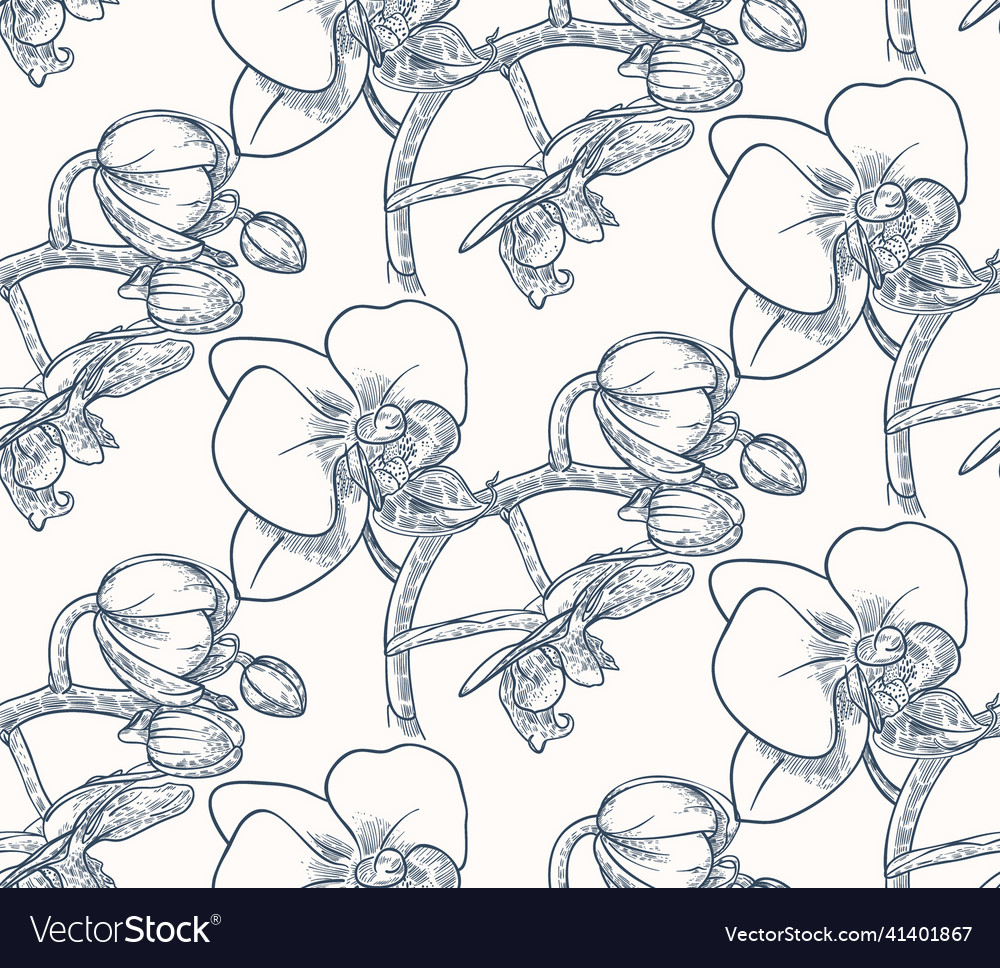 Seamless pattern with orchids Royalty Free Vector Image