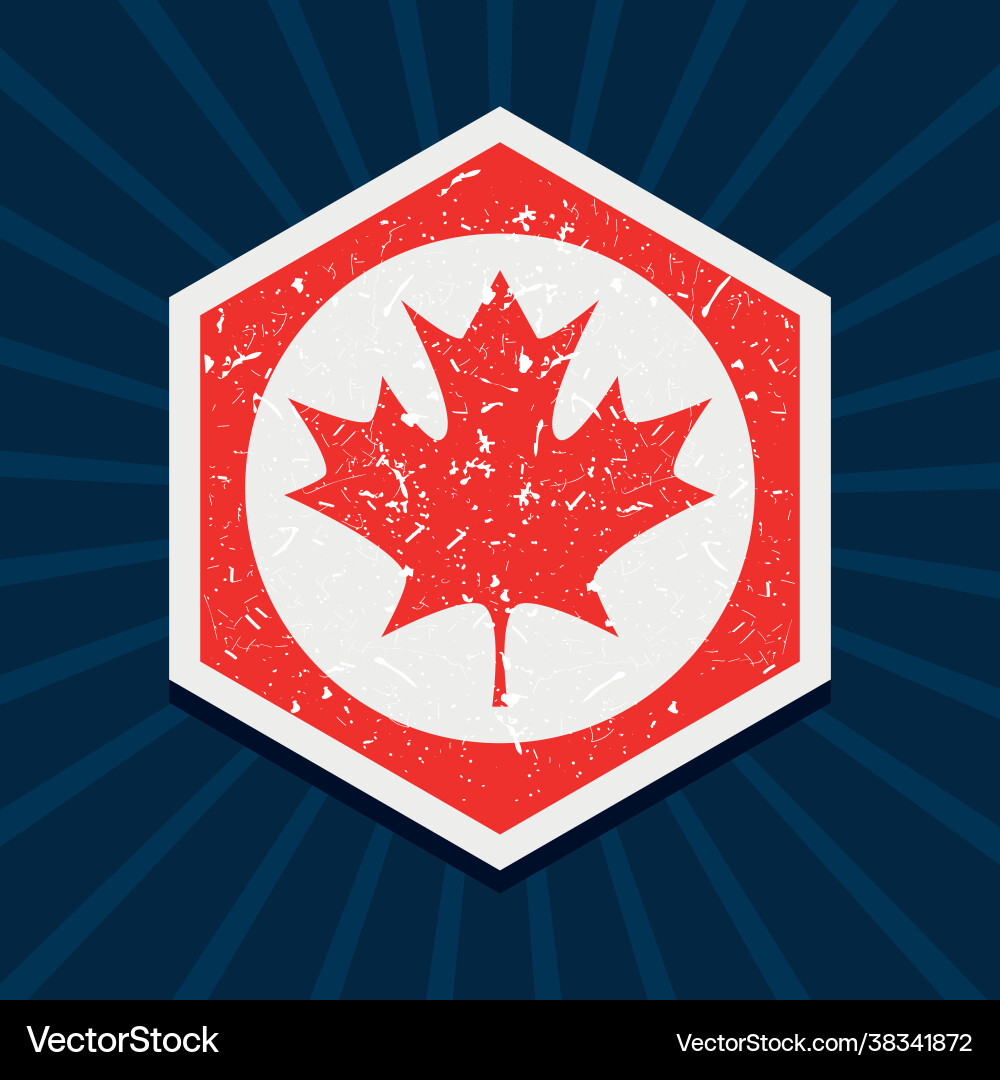 Decorative canada day design Royalty Free Vector Image