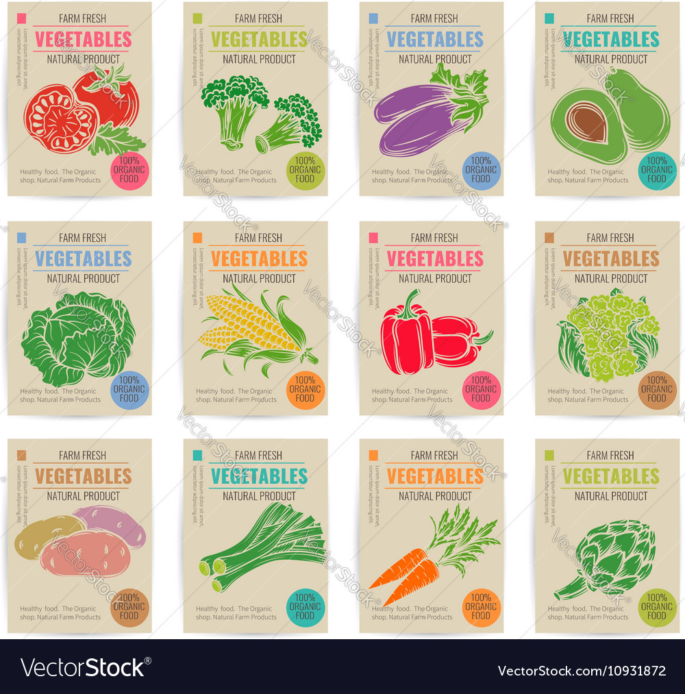 Hand drawn vegetables posters set Royalty Free Vector Image