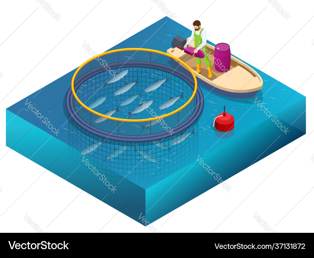 Isometric fish farm producing trout and salmon Vector Image