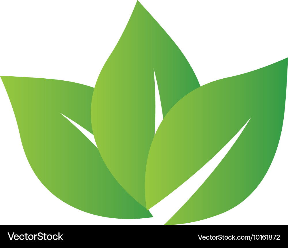 Leaf green plant nature icon graphic Royalty Free Vector