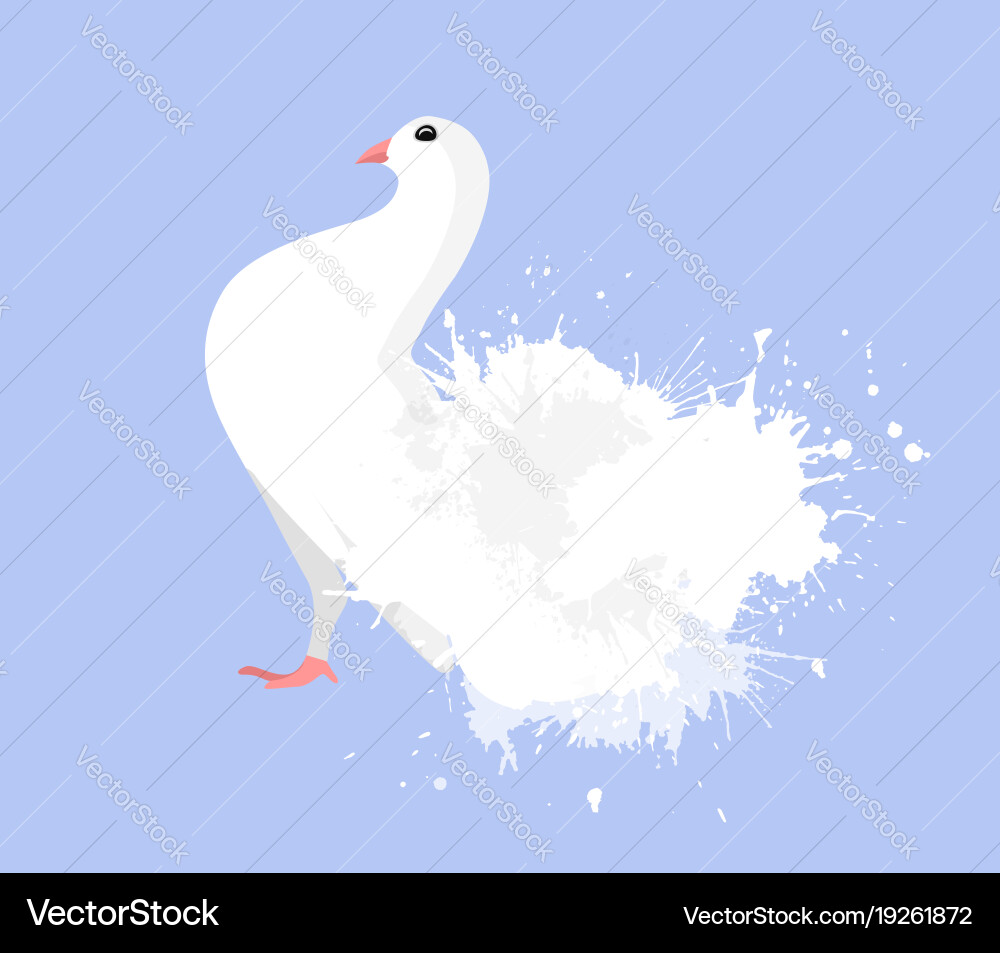 White dove with watercolor Royalty Free Vector Image