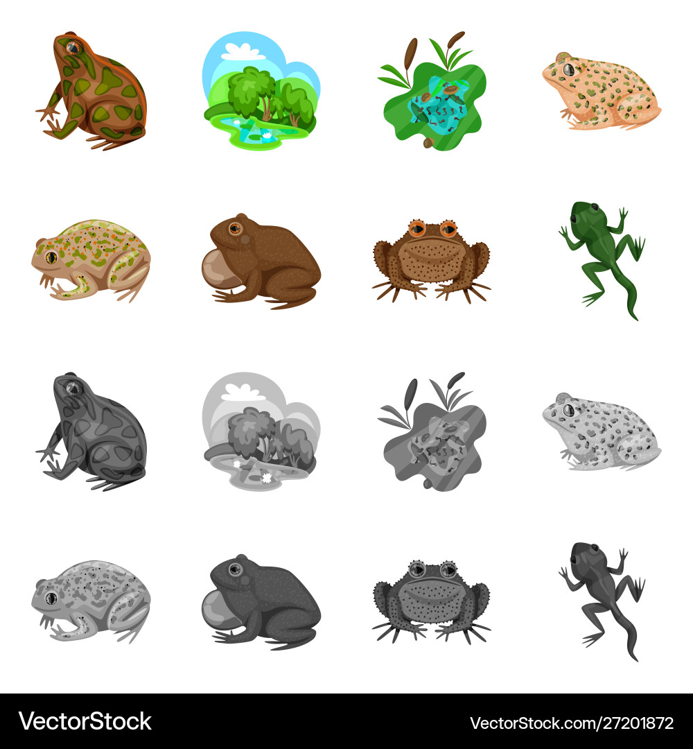 Wildlife and bog sign set Royalty Free Vector Image