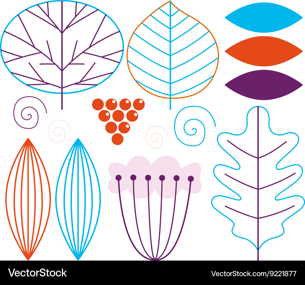 Beautiful winter leaves set isolated on white Vector Image