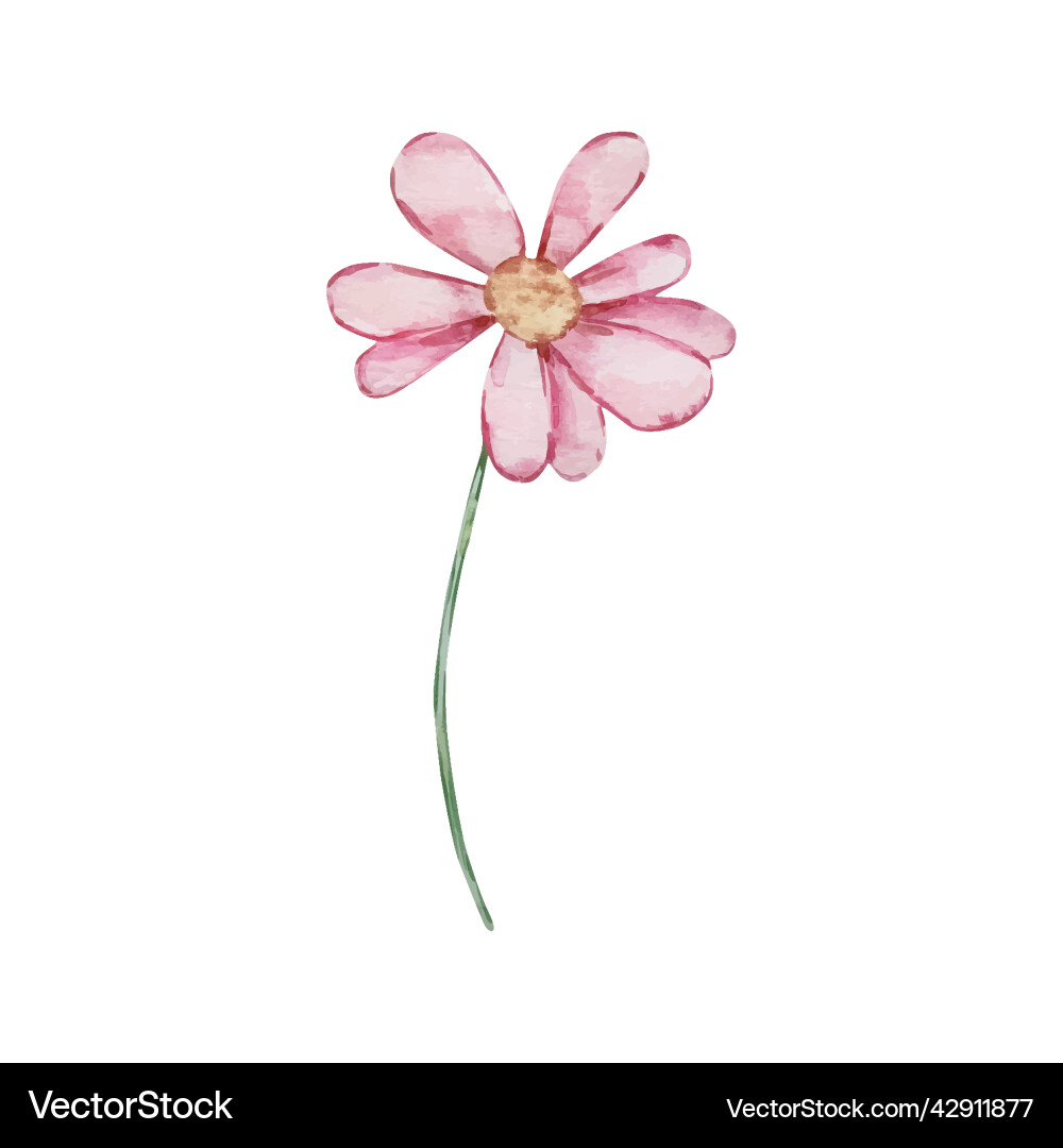 Watercolor pink spring flower Royalty Free Vector Image