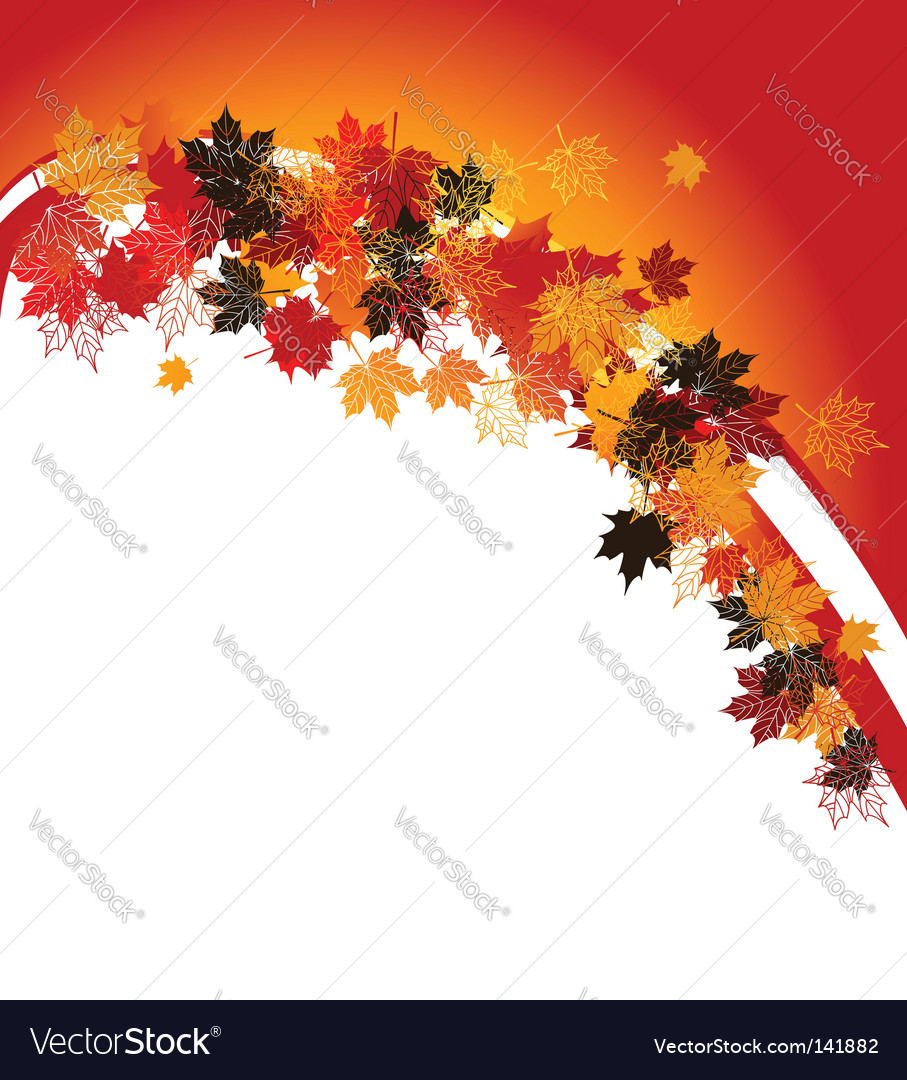 Maple leaf Royalty Free Vector Image - VectorStock