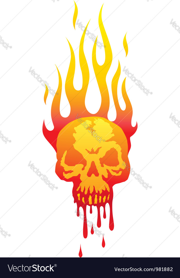 Scull Royalty Free Vector Image - VectorStock