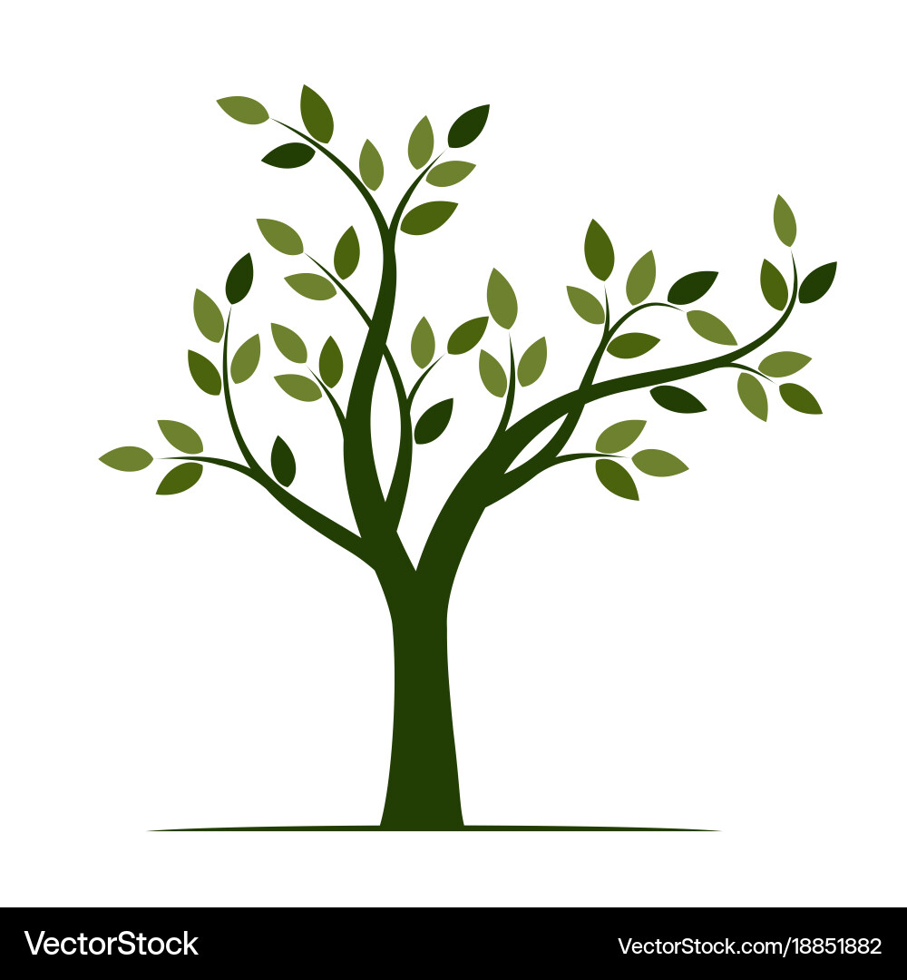 Shape of green tree with leaves Royalty Free Vector Image