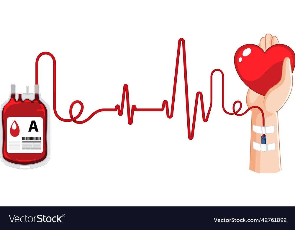 Human blood donate on white background Royalty Free Vector Human blood donate on white background Royalty Free Vector