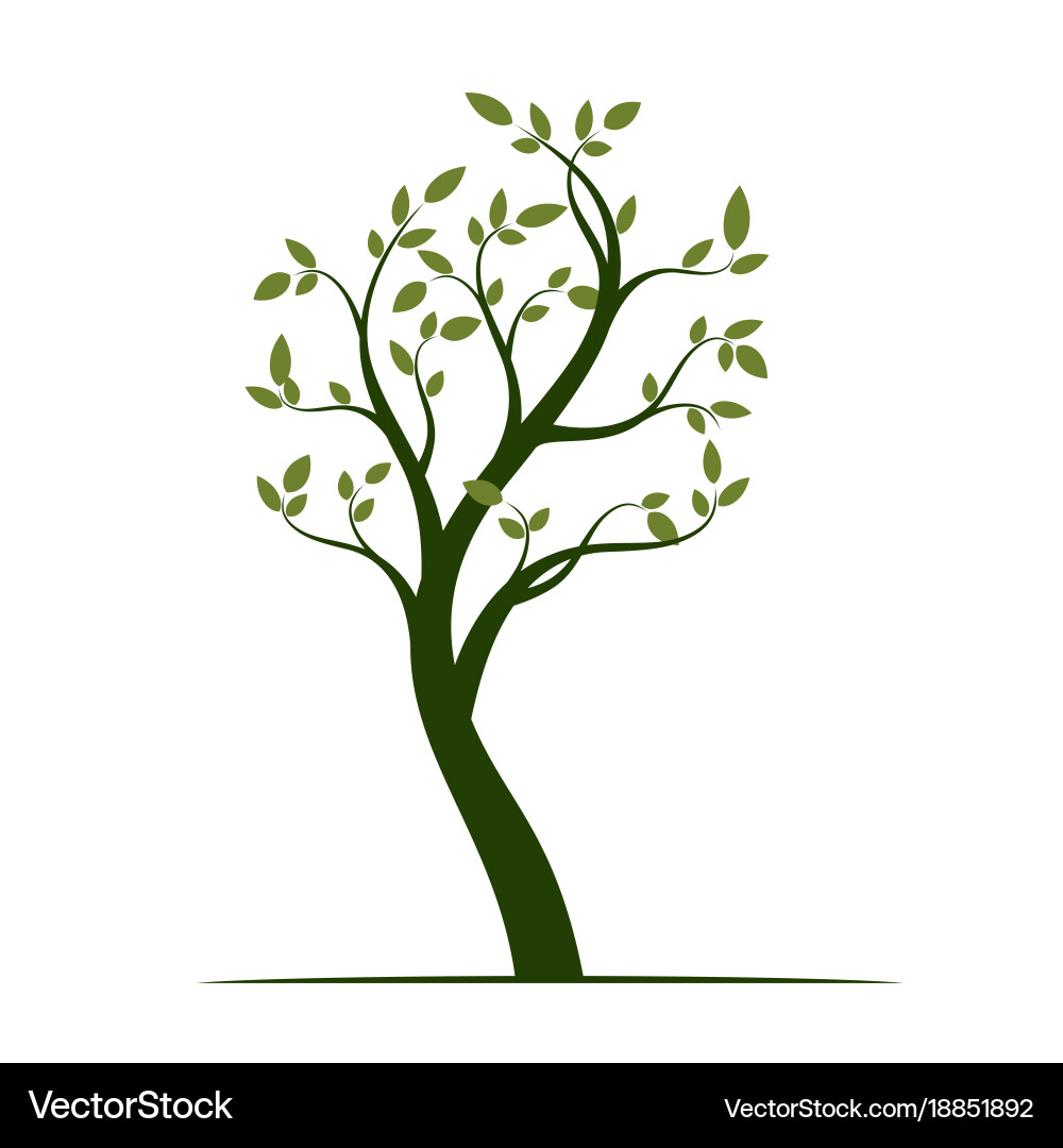 Shape of green tree with leaves Royalty Free Vector Image