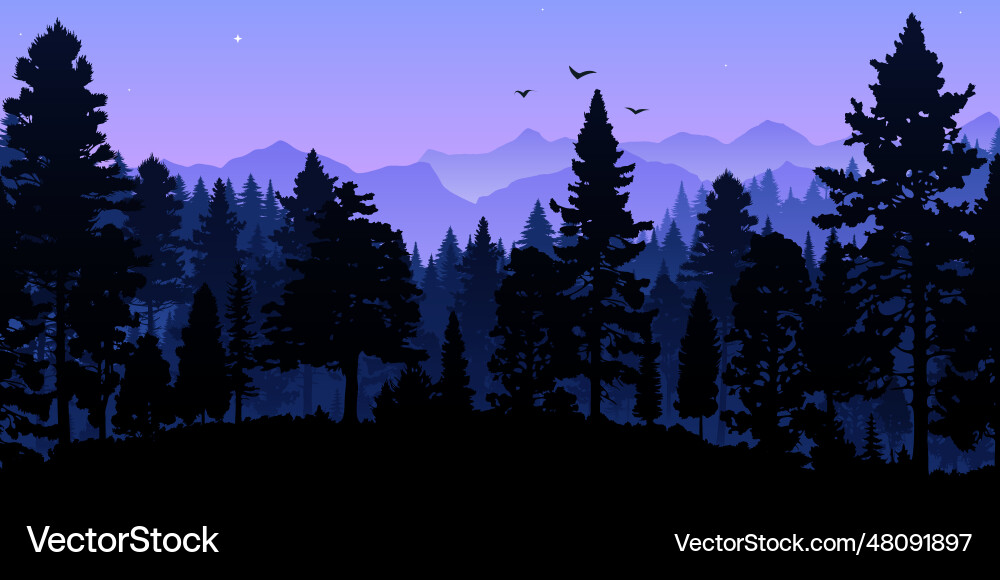 Beautiful panoramic view of a dark forest Vector Image