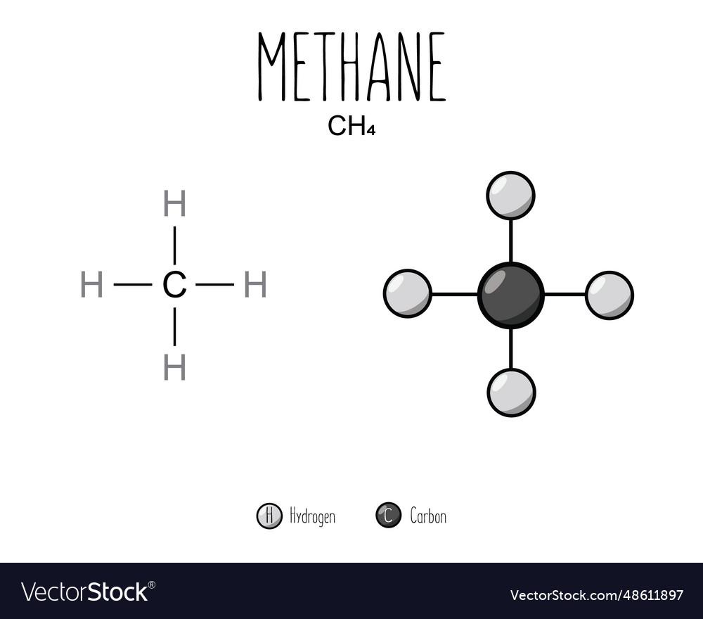 Methane skeletal structure and flat model Vector Image