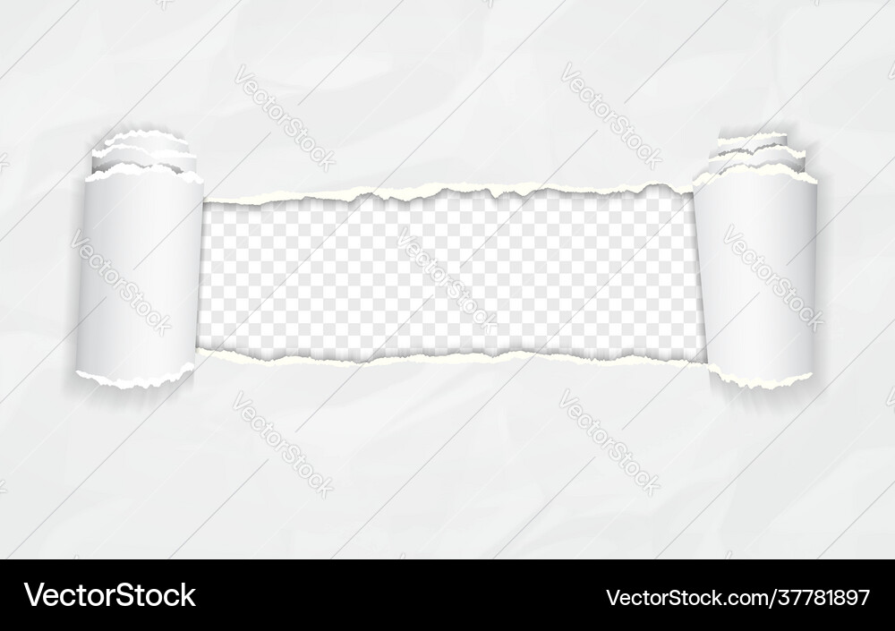 Realistic torn and twisted paper strip torn paper Vector Image