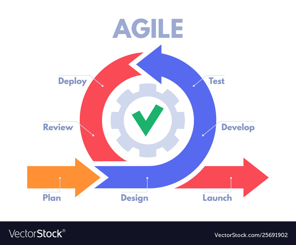 Agile Development Process Infographic Software Vector Image