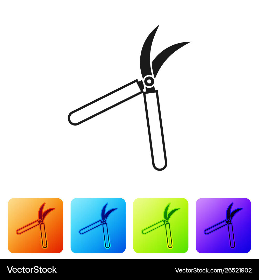 Black gardening handmade scissors for trimming Vector Image
