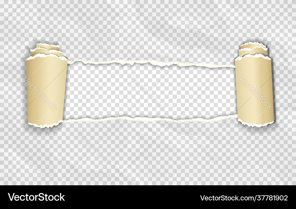 Crumpled paper with rolled edge on transparent Vector Image