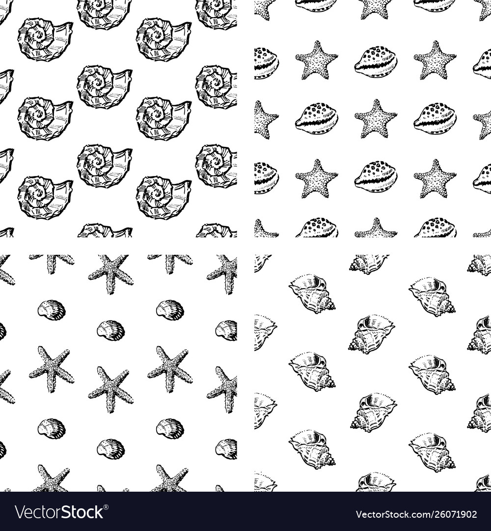 Set backgrounds with different seashells Vector Image